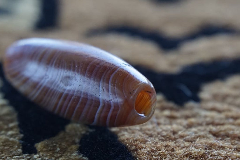 Ancient Indo Tibetan Chung dzi bead AT-06 – Singing bowl sound and craft